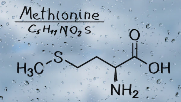 Methionine Amino Acid