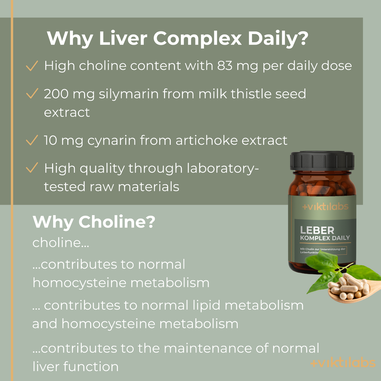 Liver Complex Daily: With choline and alpha-lipoic acid